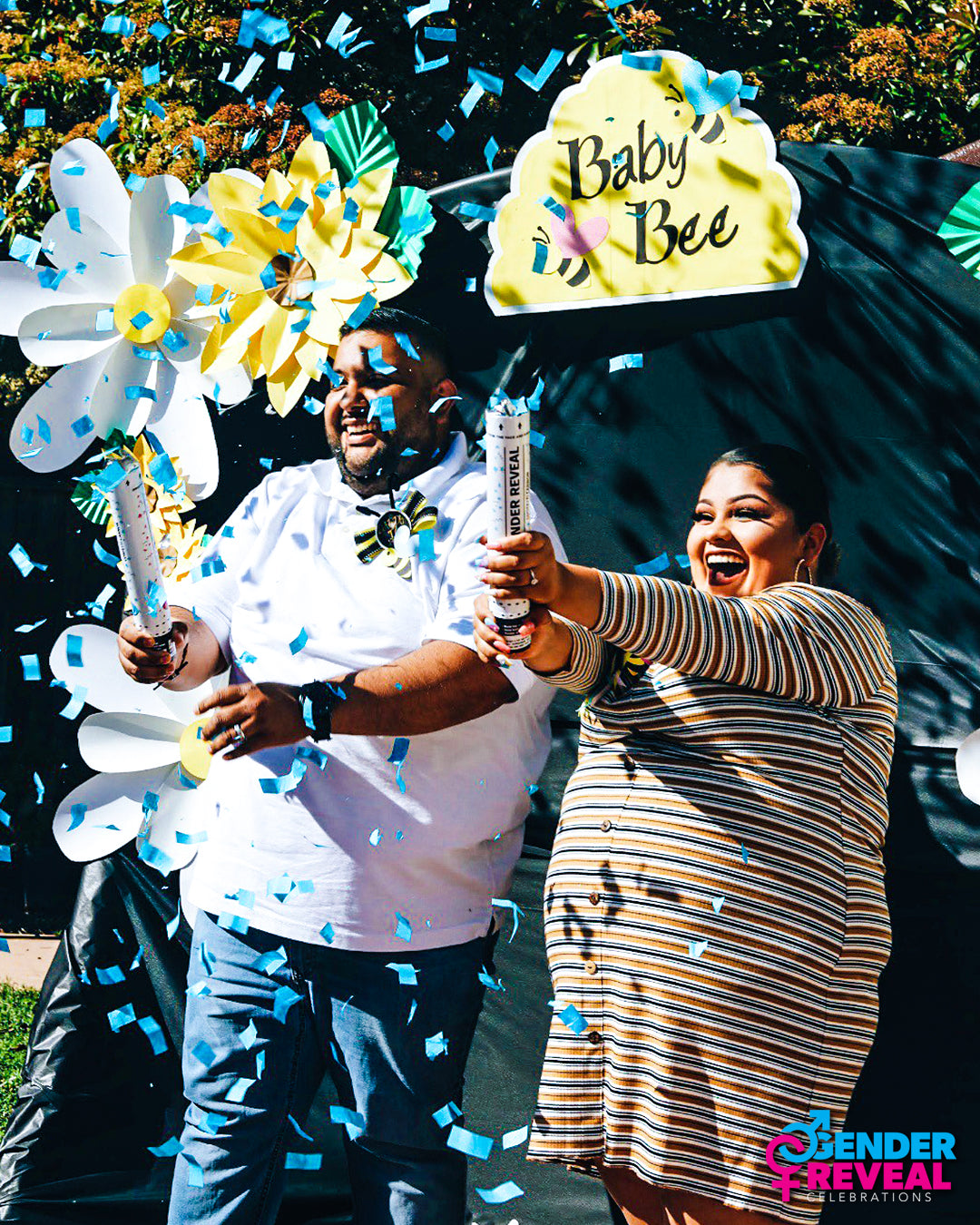 Simple Gender Reveal Ideas | Gender Reveal Celebrations